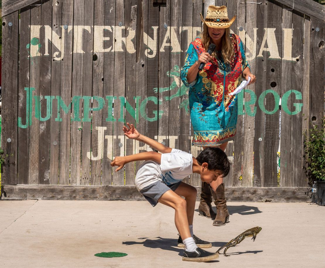 Calaveras County Fair & Jumping Frog Jubilee (aka Frog Jump ...